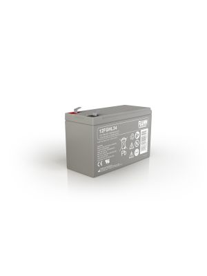 BATTERIA FIAMM 12FGH36 (EX FGH20902) Scarica Rapida 12V 9,0Ah ...
